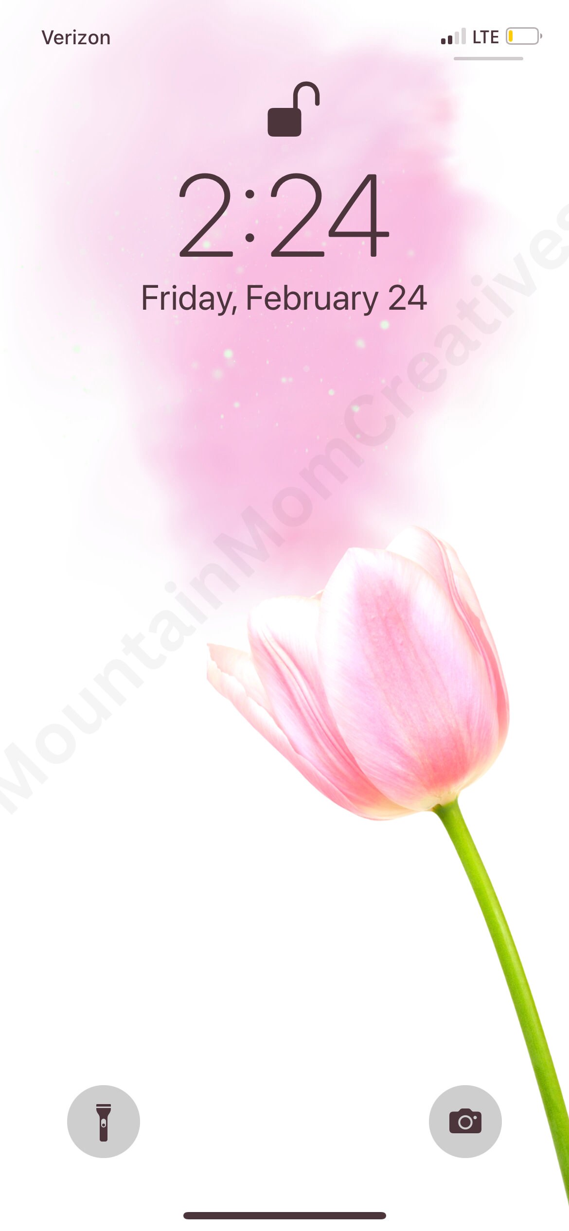Flower Wallpaper Set / Phone Background / Digital Lock Screen Art ...