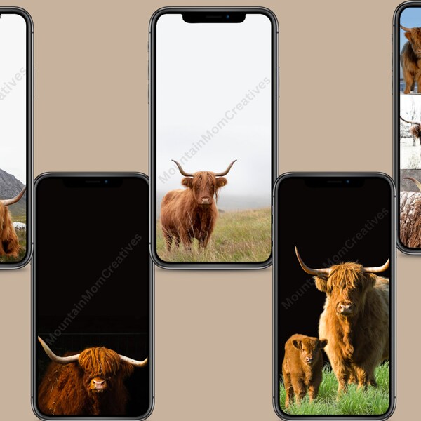 Cattle Wallpaper - Etsy