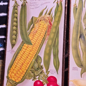 Vintage Burpees Wall Art Catalog Pages Encased in a Heavy Metal Frame W ...