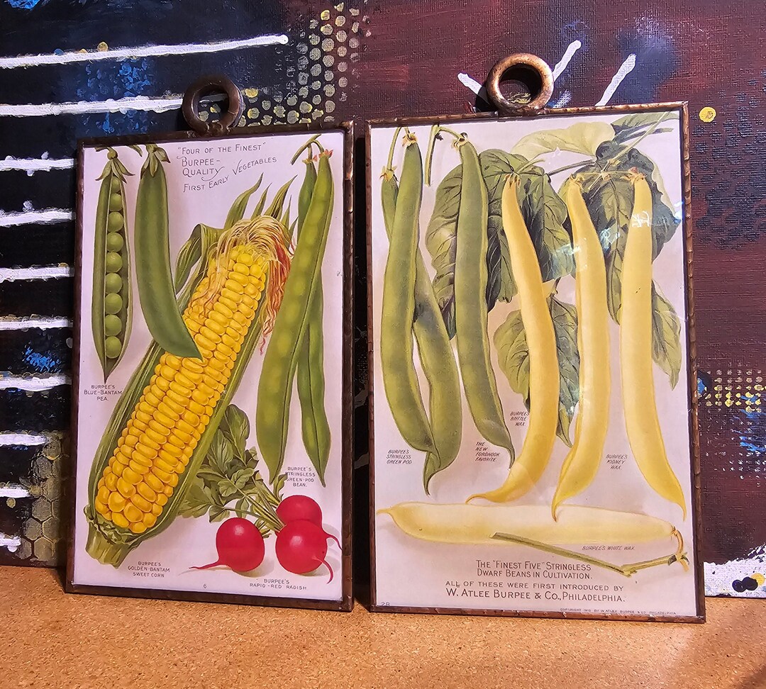 Vintage Burpees Wall Art Catalog Pages Encased in a Heavy Metal Frame W ...