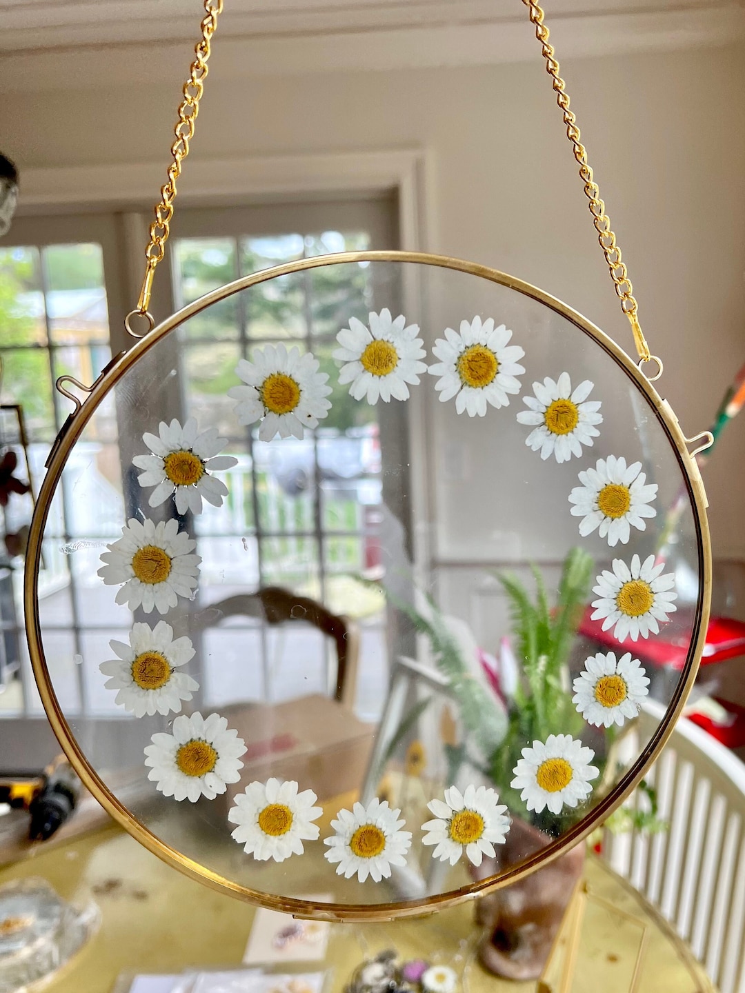 Round Frame With Dried Daisies - Etsy