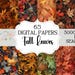 Fall Leaves Seamless Patterns Bundle Digital Papers Seamless Digital ...