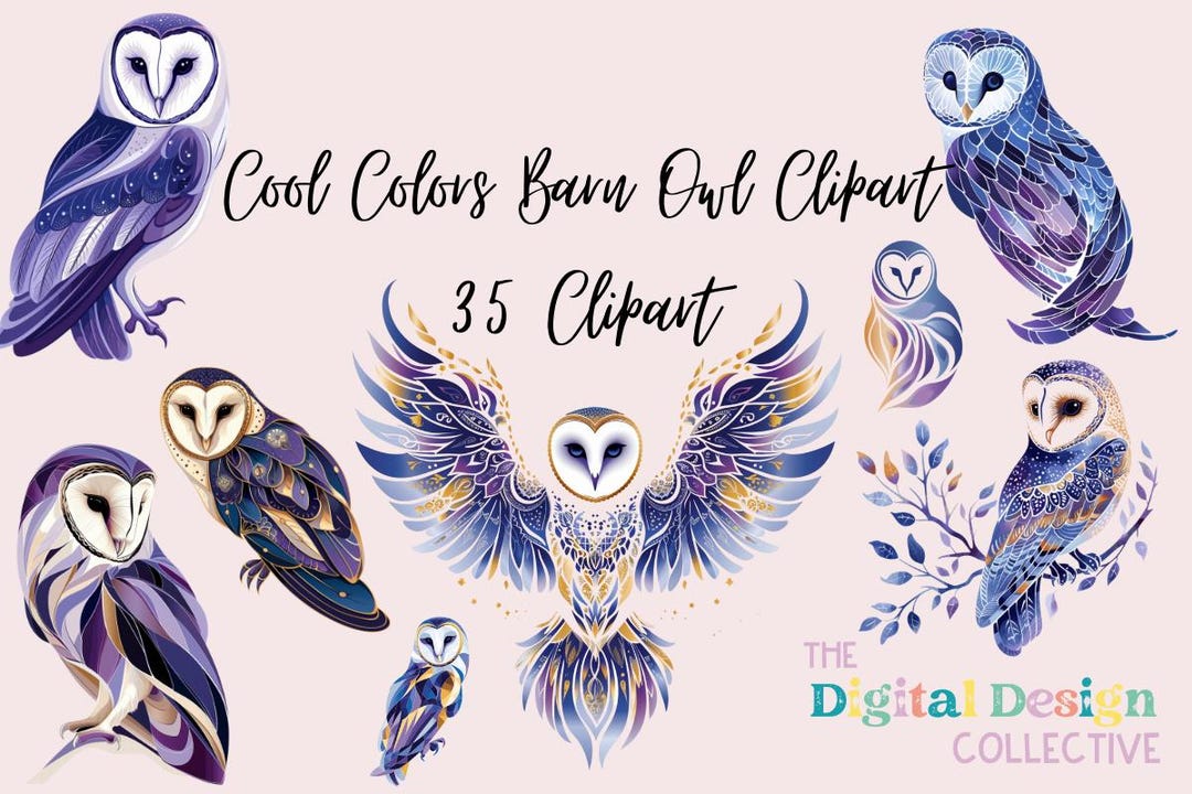 Cool Colors Barn Owl Clipart Colorful Cute Owl Clipart, Bundle Vibrant ...