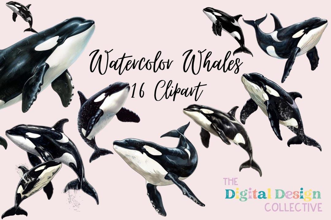 Watercolor Whale Clipart Set, Sea Life, Card Making, Journaling ...
