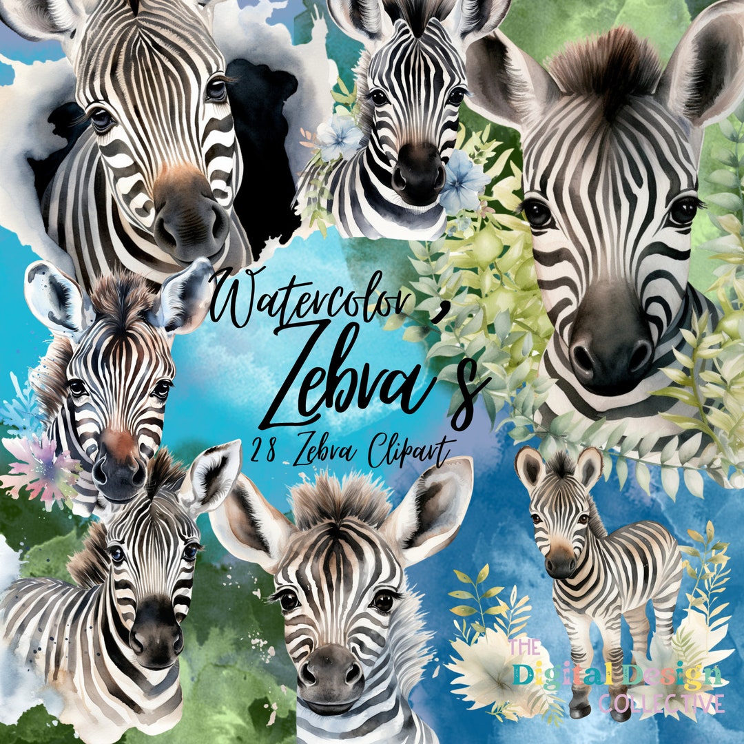 Watercolor Zebra Png, Watercolor Zebra, Zebra Print, Zoo Watercolor Png ...