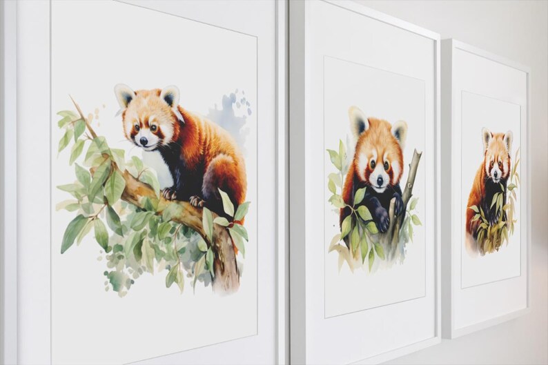Cute Watercolor Red Panda Clipart Bundle, Cute Animals, Baby Panda ...