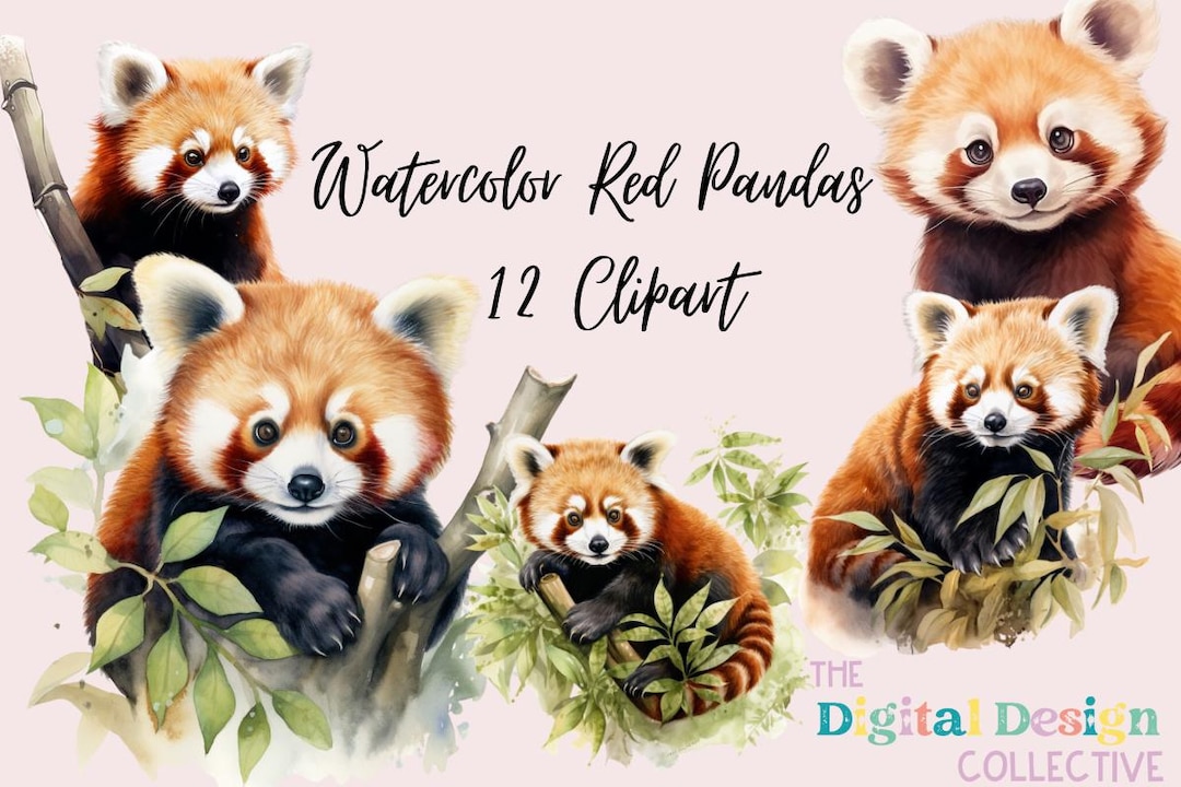 Cute Watercolor Red Panda Clipart Bundle, Cute Animals, Baby Panda ...