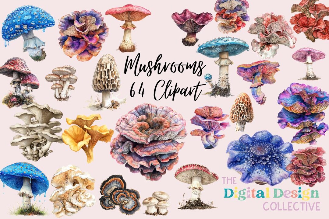 Mushrooms Watercolor Clipart Bundle - 64 PNG Forest Toadstool Graphics ...