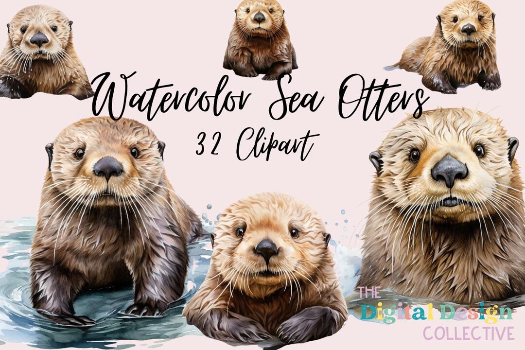Watercolor Sea Otter Clipart Bundle | Otter Printable | Nursery Wall ...