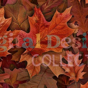 Fall Leaves Seamless Patterns Bundle Digital Papers Seamless Digital ...
