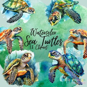 Ocean Animal Clipart Bundle, Sea Turtle Digital Clipart, Shark Clipart ...