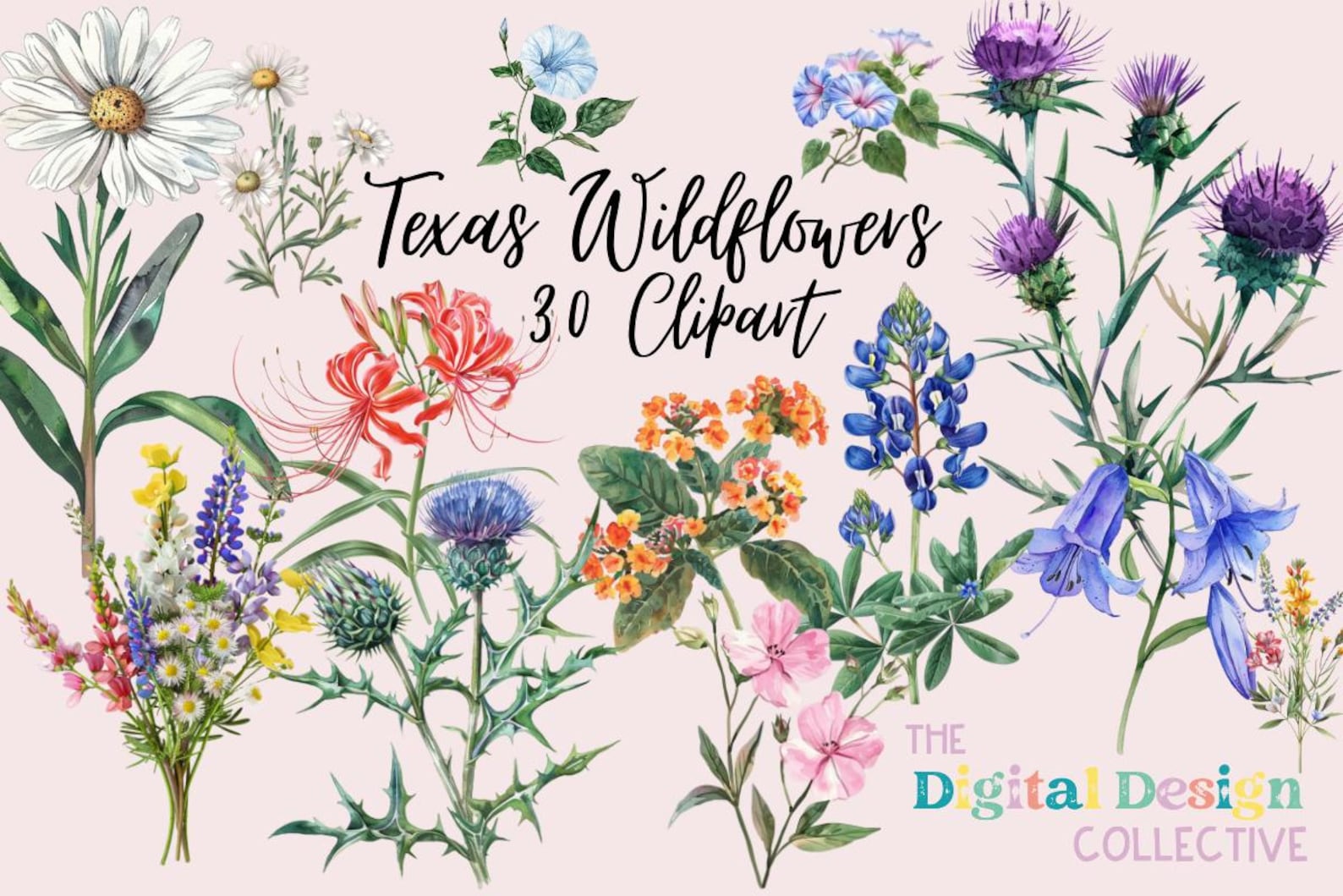 Texas Native Wildflowers Watercolor Pngs, POD Clipart, PNG, Instant ...