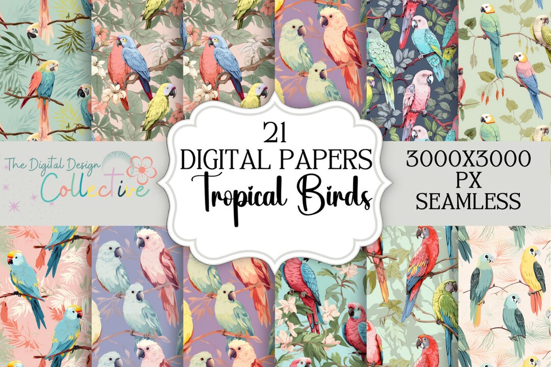 Seamless Tropical Birds Digital Paper Bundle - Etsy