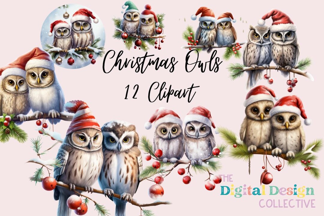 Christmas Owls Clipart Bundle Holiday Owls Digital Clip Art for ...