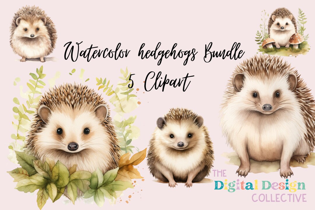 Watercolor Hedgehogs PNG Bundle Clipart, Clipart Bundle, Digital ...