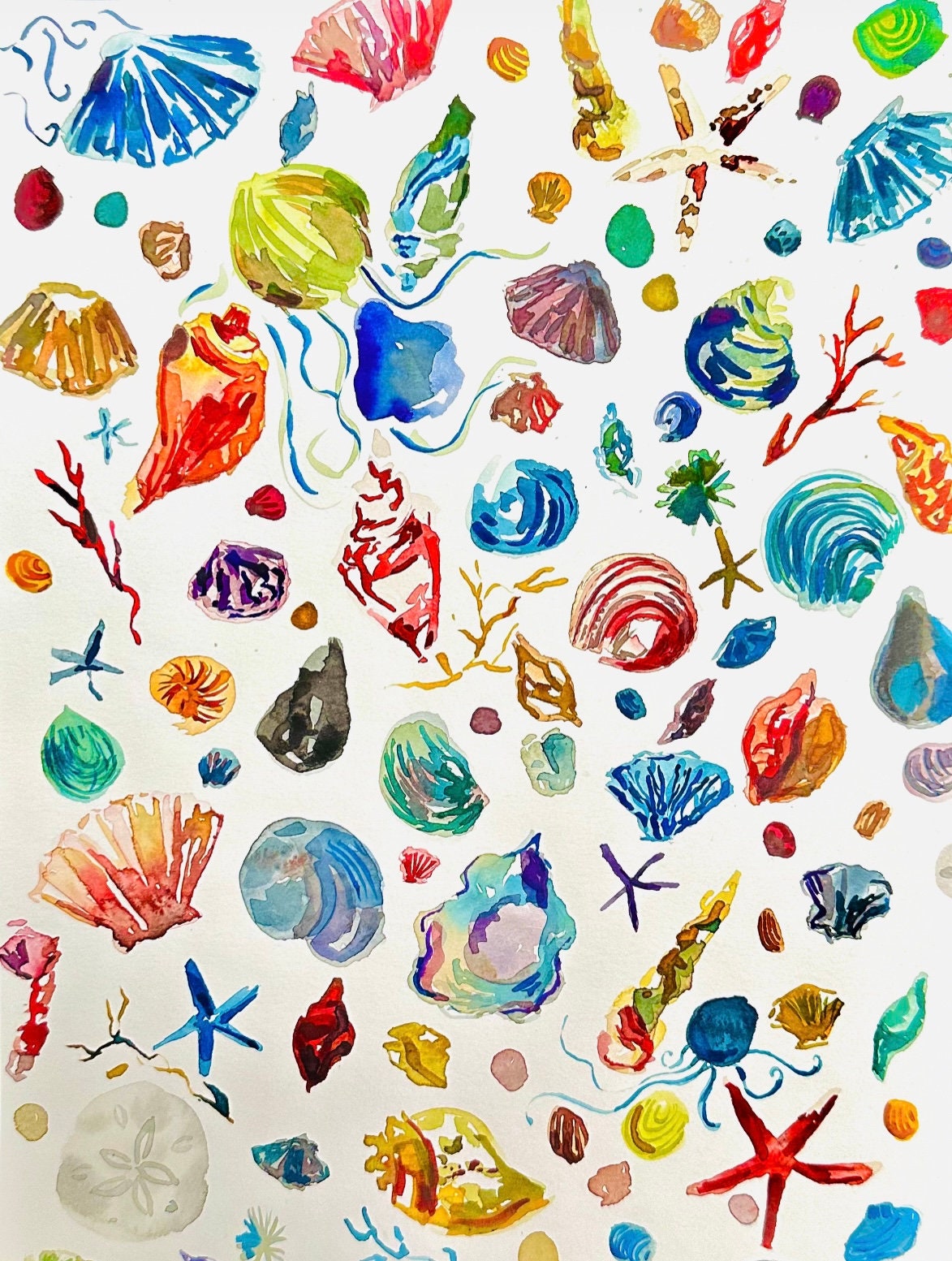 Sea Shell Digital Print Brighter Opacity - Etsy