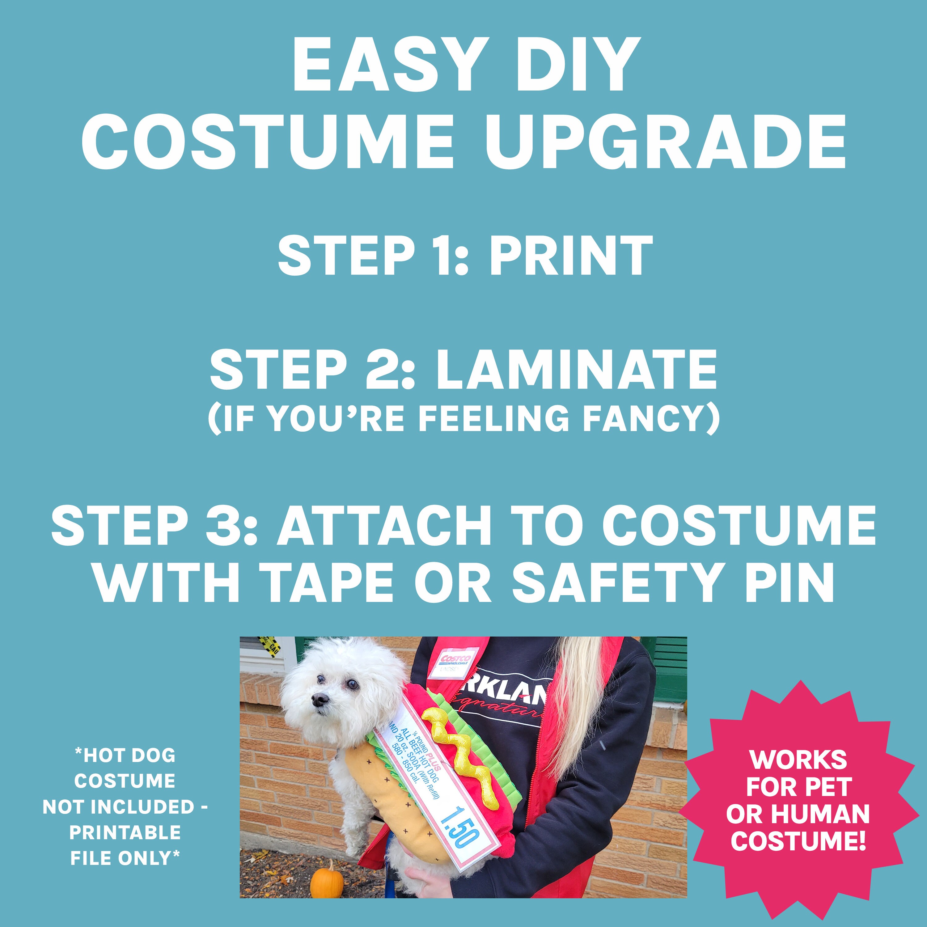 Costco Food Court Menu Printable Signs for DIY Halloween Costume, Trunk ...