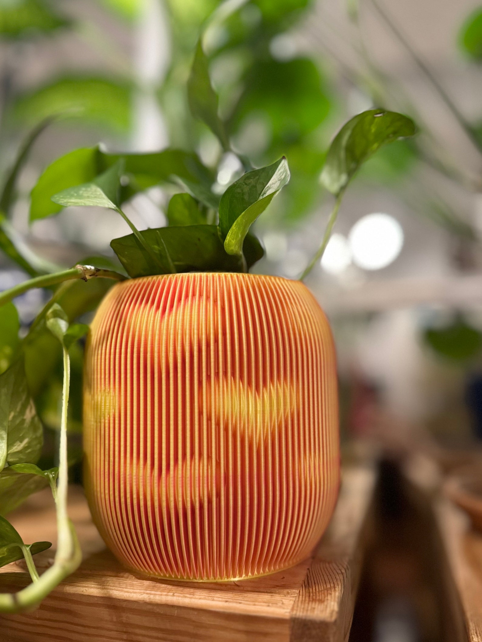 Love Vase - 3D Printed Planter - Valentine's Jar - Dry Vase Flower ...