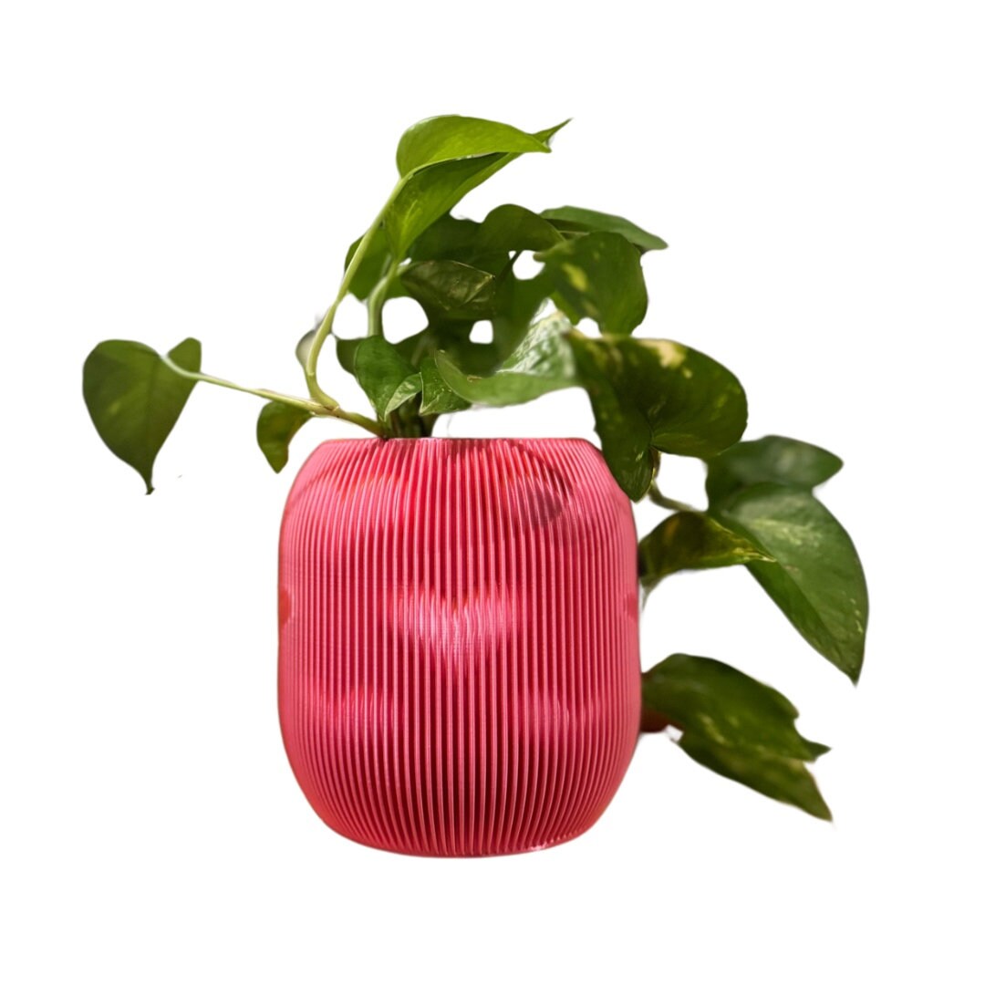 Love Vase - 3D Printed Planter - Valentine's Jar - Dry Vase Flower ...