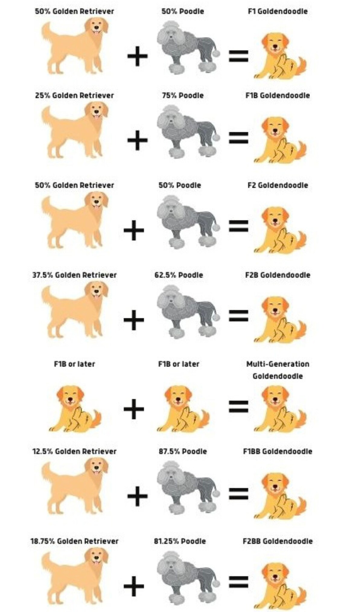 Doodle Generation Chart PNG & JPG, Doodle Art, Doodle Living Room Art ...