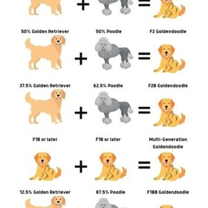 Doodle Generation Chart PNG & JPG, Doodle Art, Doodle Living Room Art ...