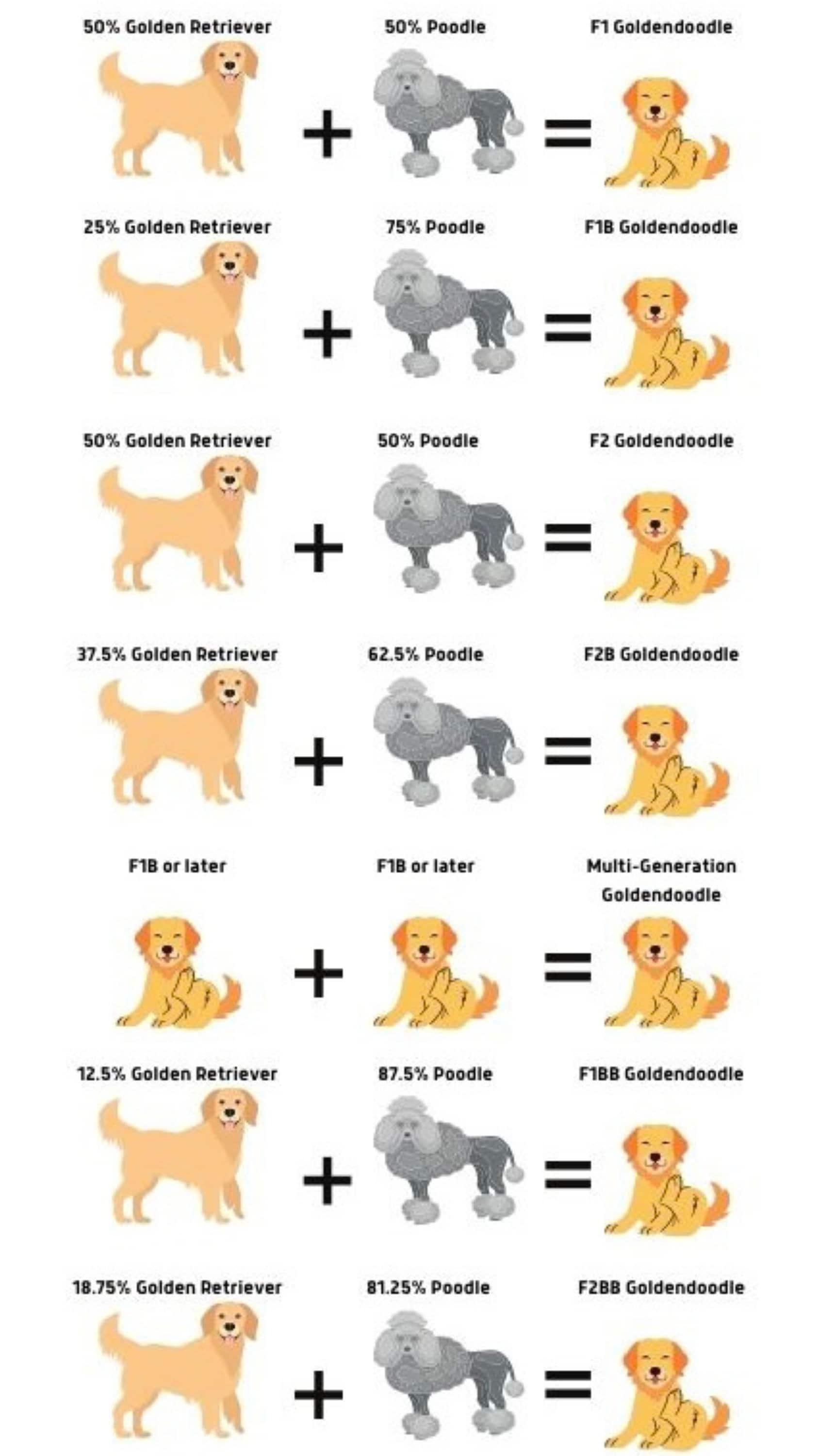 Doodle Generation Chart PNG & JPG, Doodle Art, Doodle Living Room Art, Doodle Poster, Doodle ...