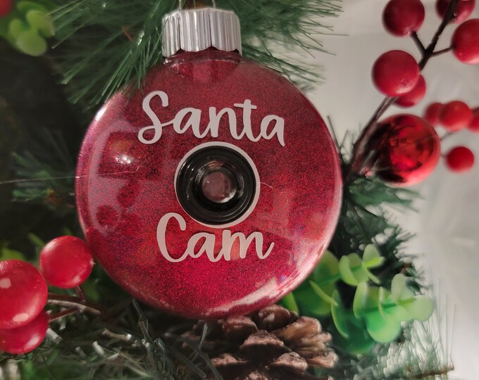 Santa Cam, Elf Cam, Grinch Cam, Christmas Ornament, Home Decor ...
