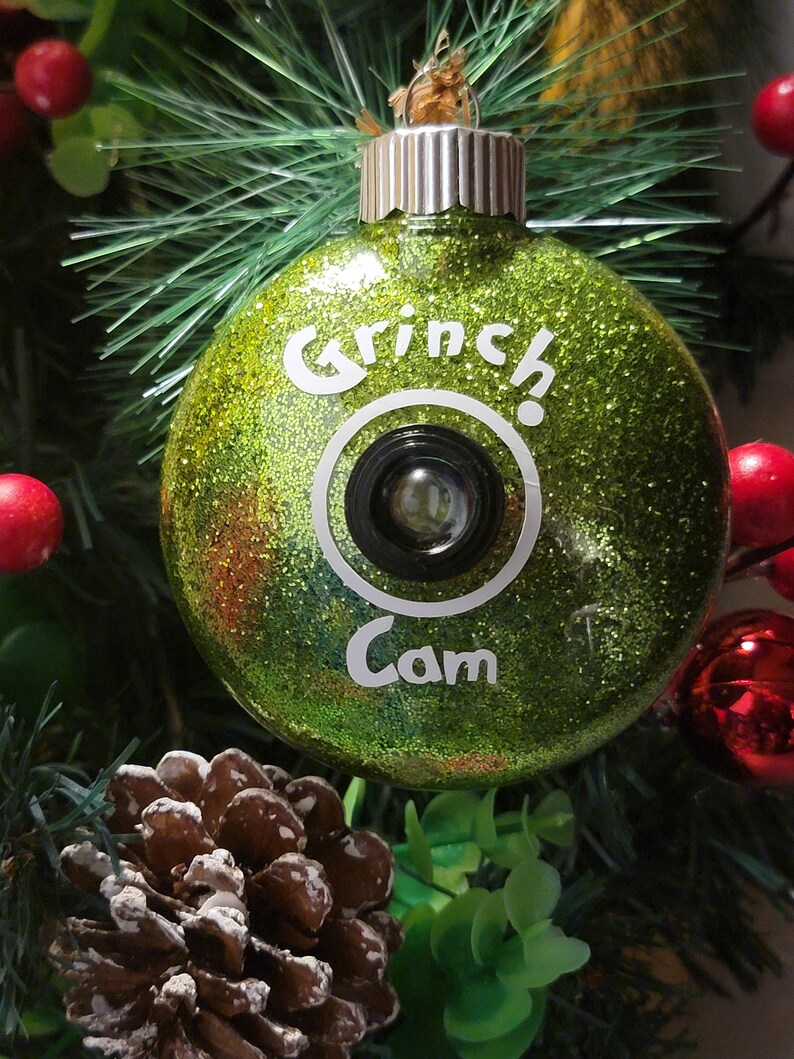 Santa Cam or Grinch Cam + Personalized Secret Letter From Santa or ...