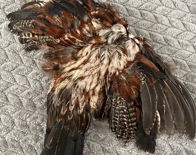 Dried Bantam Rooster Chicken Wings & Pelt - Crafter’s Special - Etsy