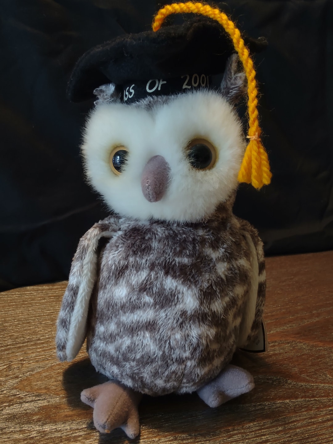 Ty Beanie Baby Smart the Owl Class of 2001, Retired Rare MWMT - Etsy