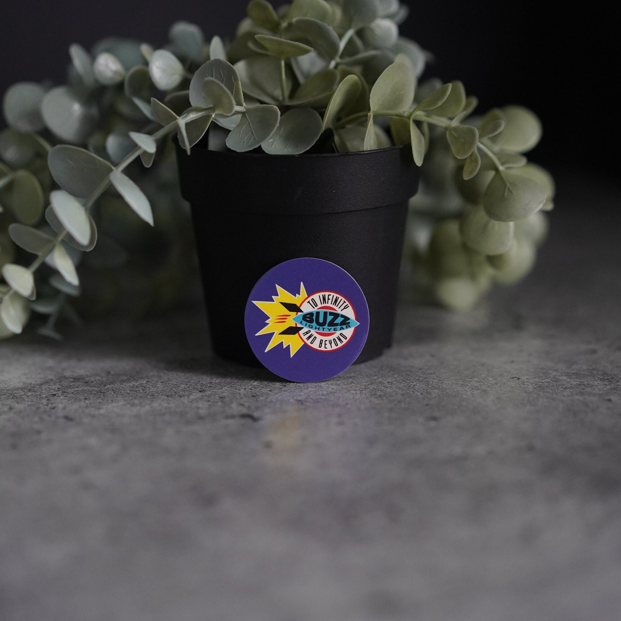 1995 POG Buzz Lightyear : to Infinity and Beyond 21 Toy Story Disney ...