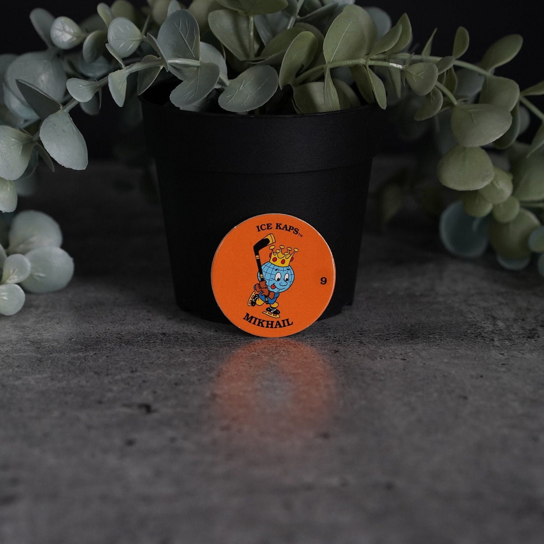 1990s POG Mikhail 9 Ice Kaps Vintage Hockey Milk Cap 90s Nostalgia Game ...