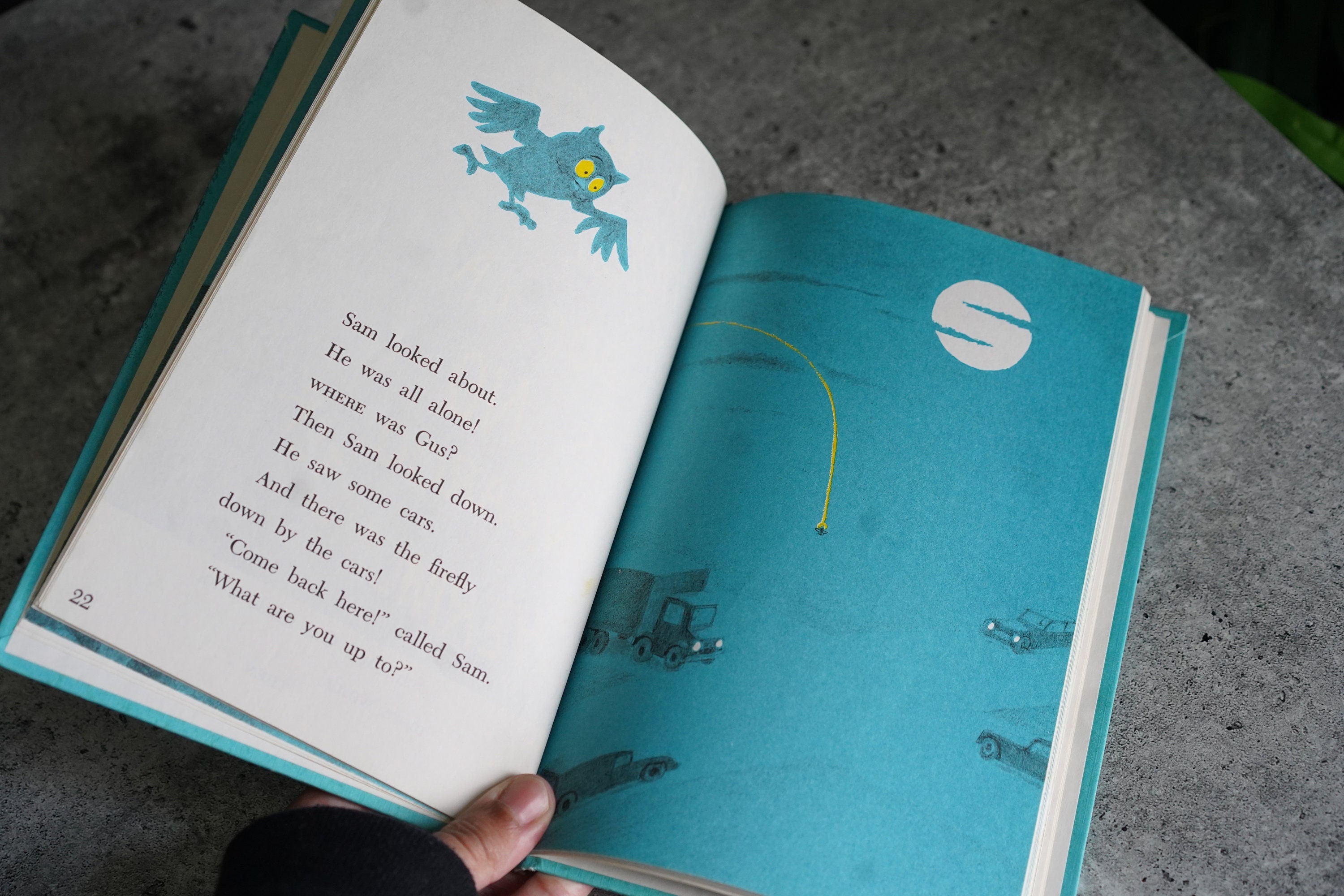 1958 Sam and the Fly by P. D. Eastman Begginer Books - Etsy