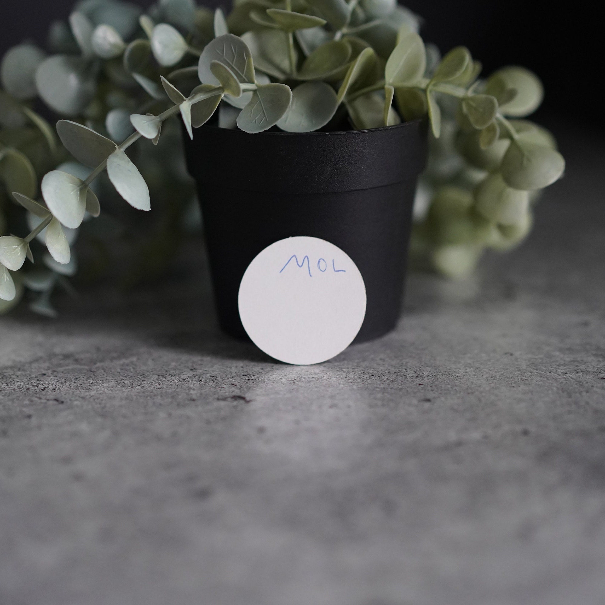 1990s POG Equal Pog Vintage Symbol Milk Cap 90s Nostalgia Game Power ...