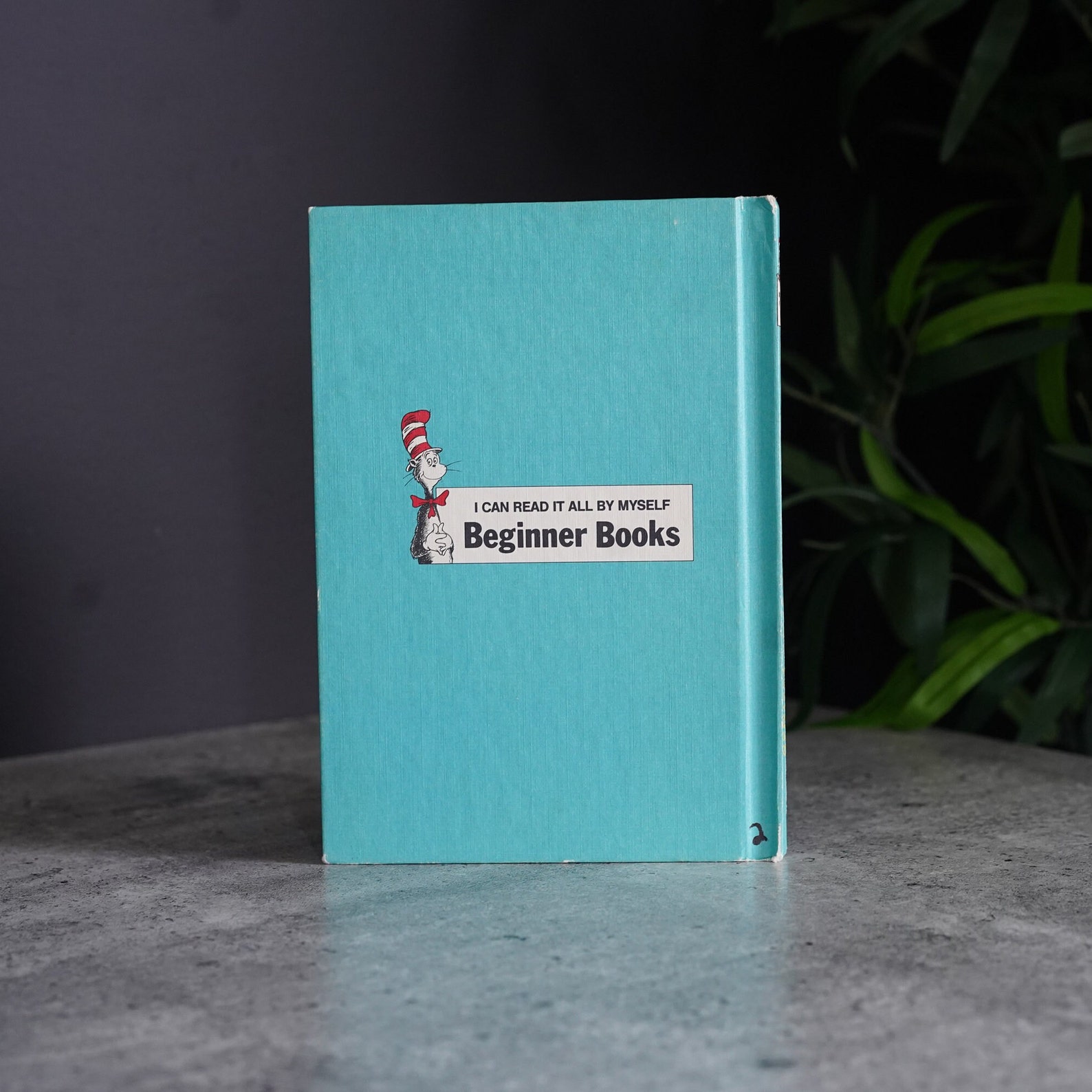 1958 Sam and the Fly by P. D. Eastman Begginer Books - Etsy