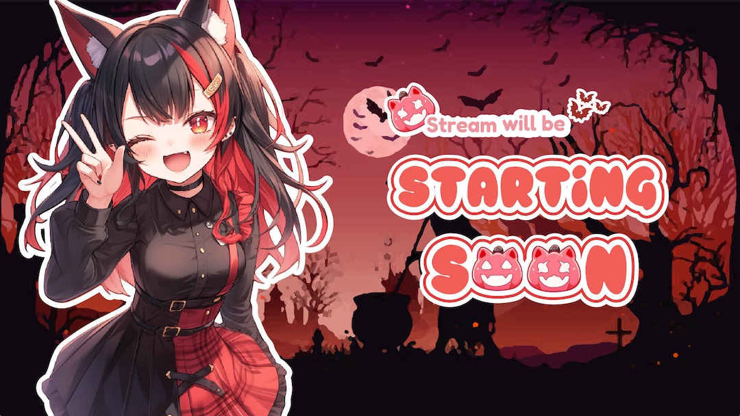 Custom Animated Starting Soon Stream Screen, Ending, Be Right Back for ...