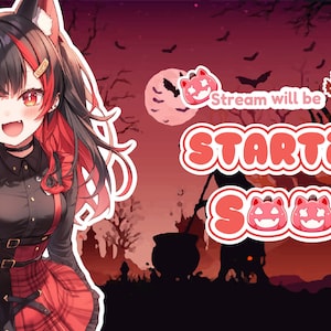 Custom Animated Starting Soon Stream Screen, Ending, Be Right Back for ...