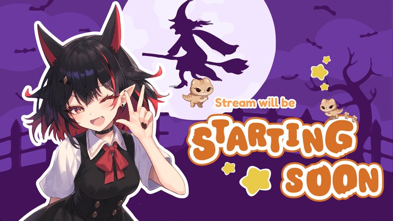 Custom Animated Starting Soon Stream Screen, Ending, and Be Right Back ...
