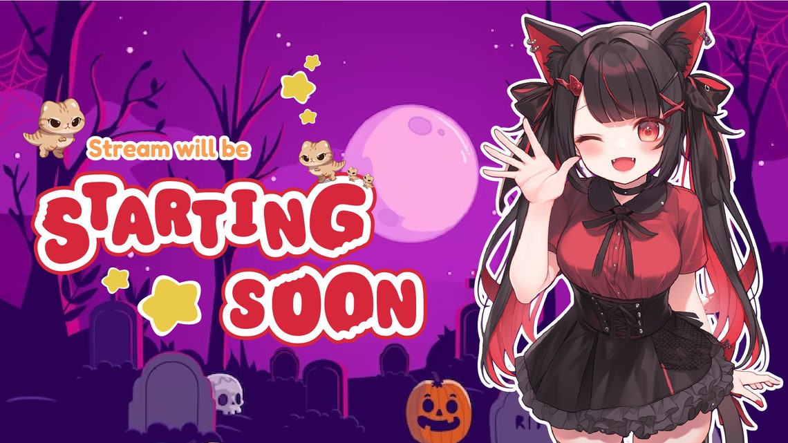 Custom Animated Starting Soon Stream Screen, Ending, and Be Right Back ...