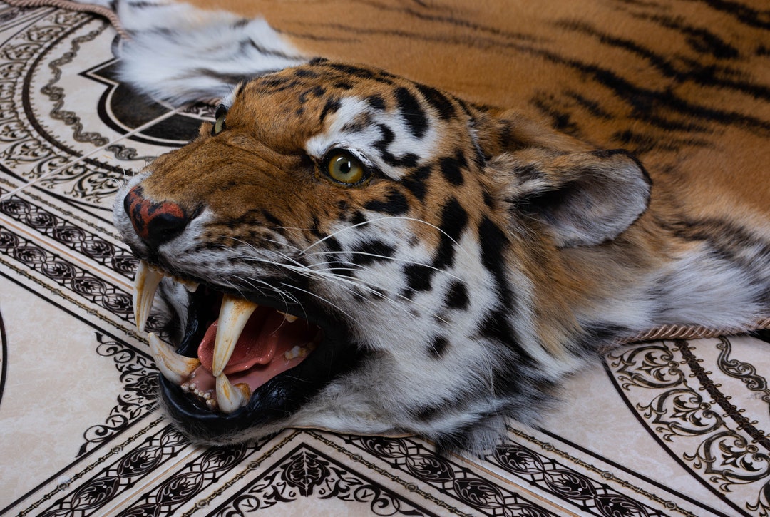 Taxidermy REPLICA Siberian Tiger Rug Carpet Mammal Stuffed - Etsy UK