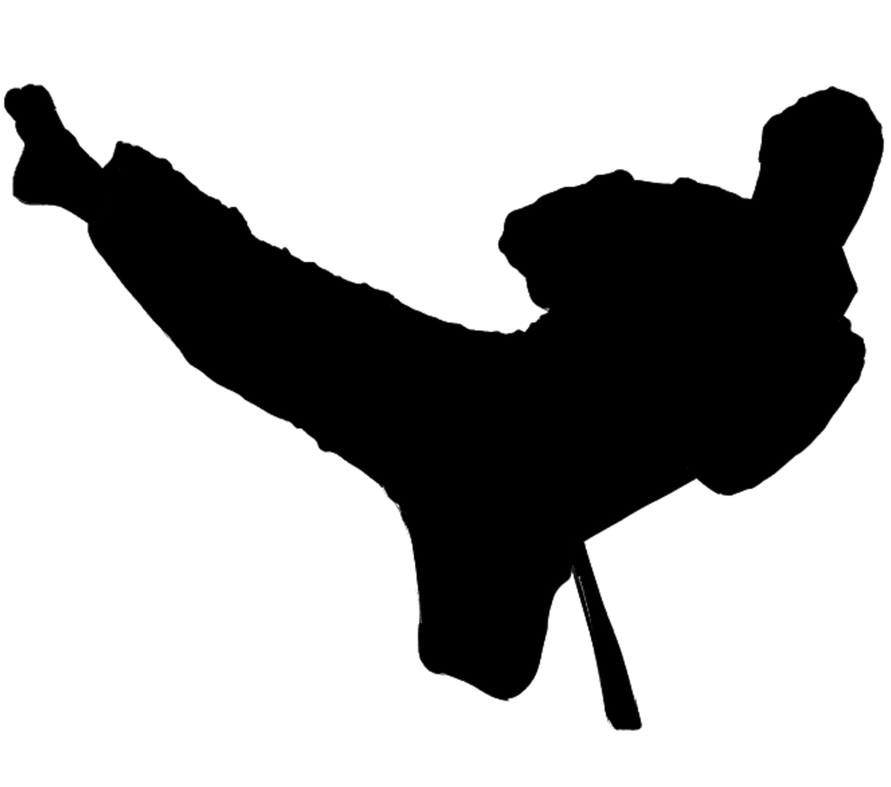 Karate Side Kick Boy Silhouette Graphic PNG and SVG Digital Download ...