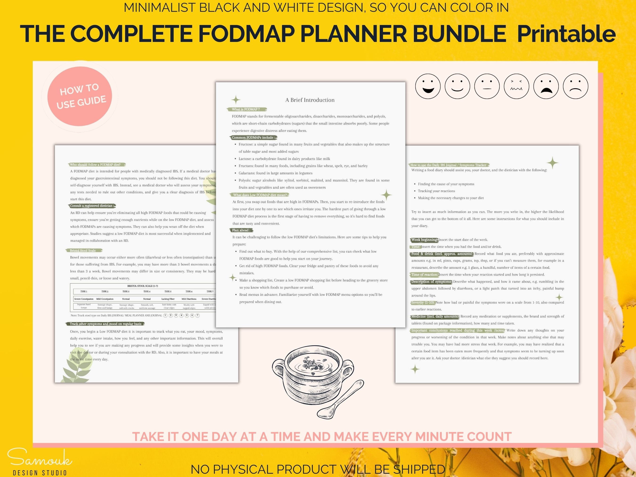 Fodmap Planner Bundle (color), Low Fodmap, IBS, Health, Grocery List, SIBO, Fodmap Diet Pdf ...