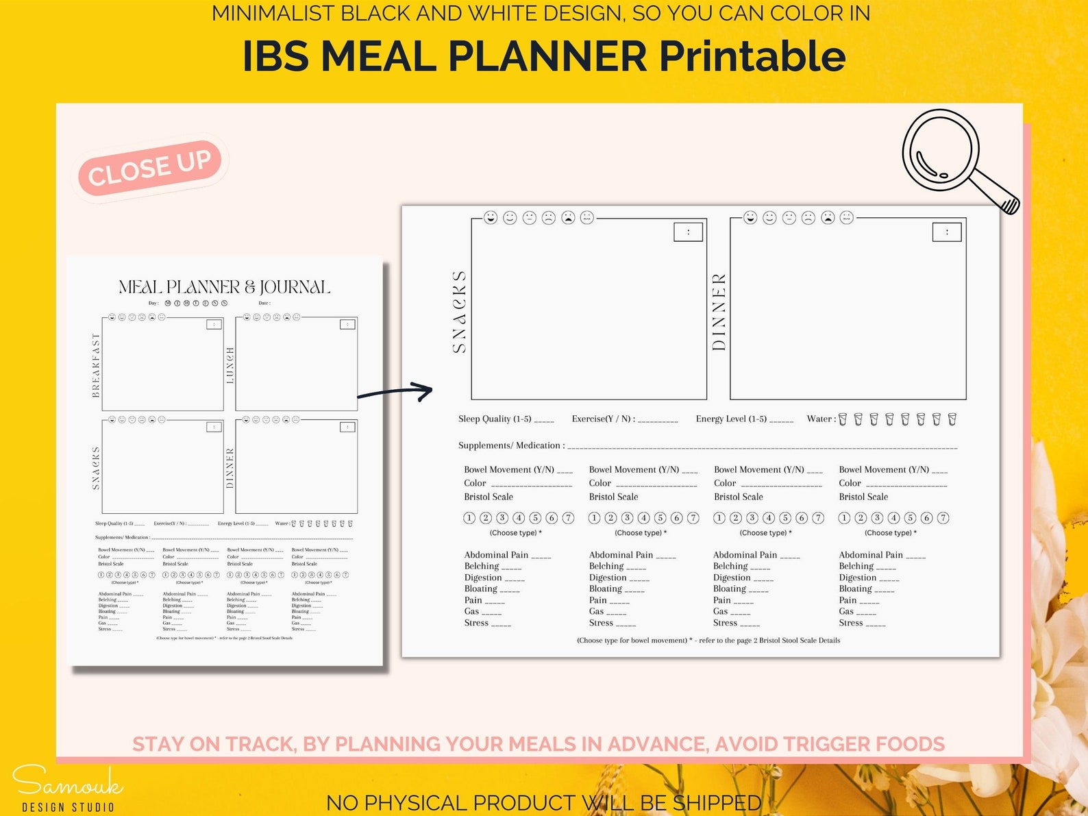 Low Fodmap Daily Meal Planner, Daily Meal Planner, SIBO Meal Planner ...