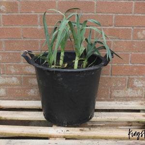 5x Heavy Duty 30L Plant Pots - Large Size 40cm / 15.7"- Plastic ...