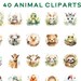 Watercolor Animal Clipart Bundle for Sublimation Kids Animal Theme ...