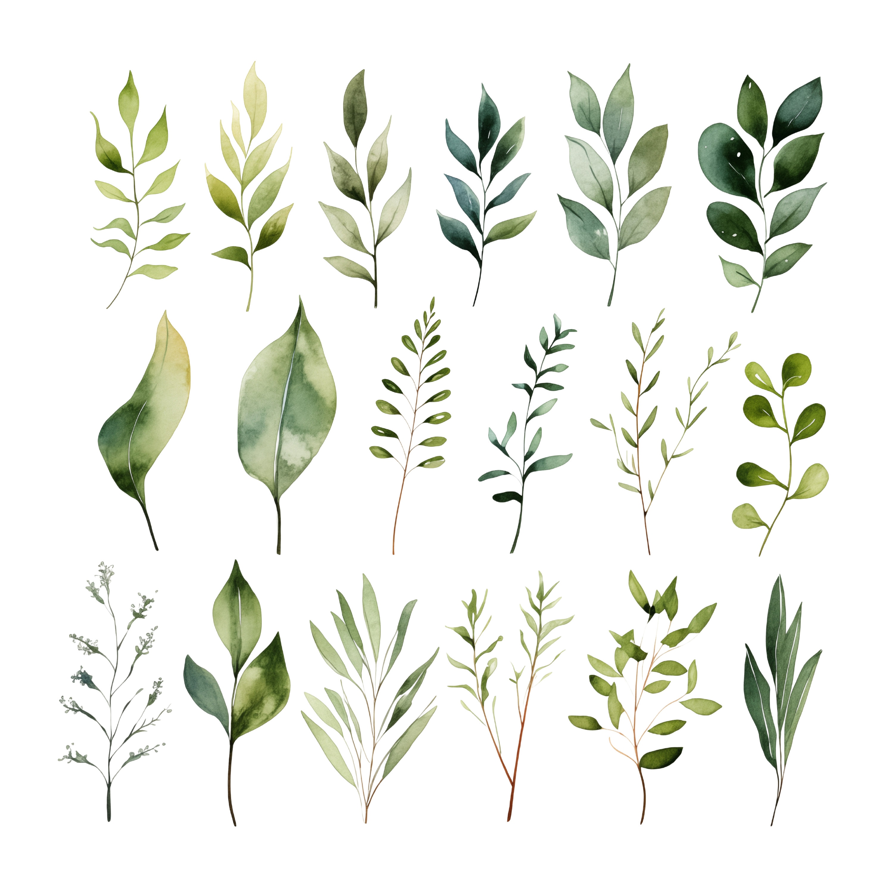 Greenery Foliage Clipart Set 124 Watercolor Leaves DIY Card Decoration ...