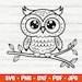 Owl Svg Outline Cut File. Baby Owl Svg, Cute Owl Svg. Woodland Animal ...