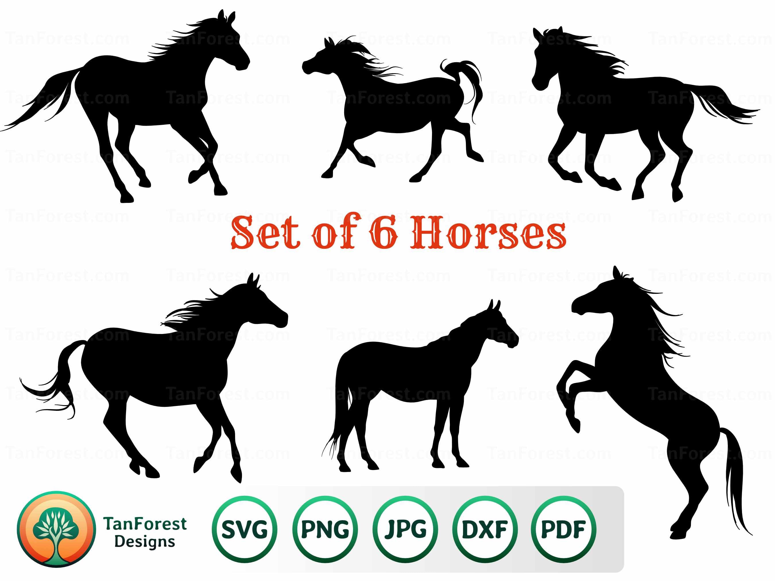 Standing Horse Vector