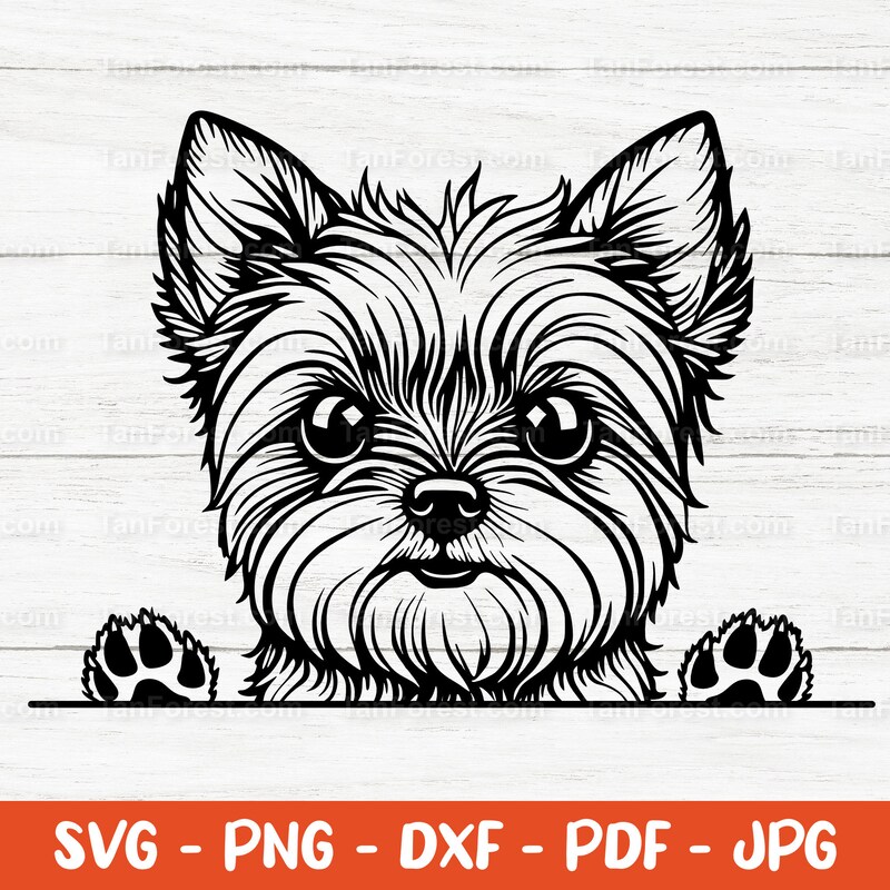 Yorkie Svg - Etsy