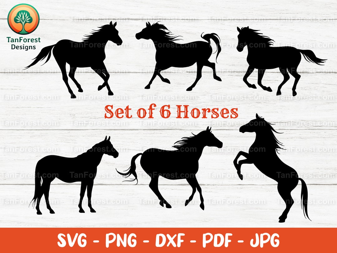 Set of 6 Horses Svg, Horse at a Gallop Svg, Standing Horse Svg, Western ...
